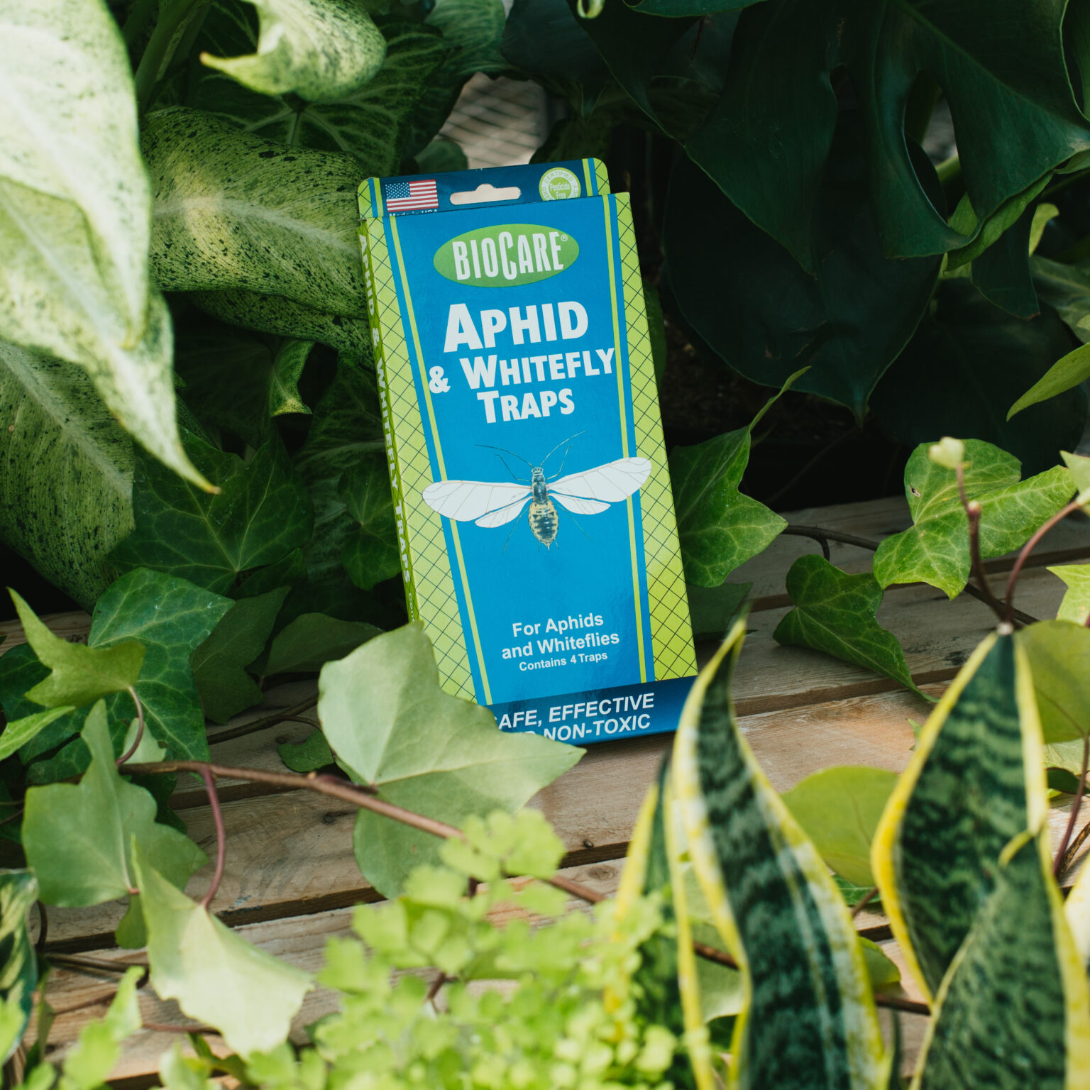 Biocare Aphid & Whitefly Trap - Campbell's Nursery